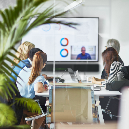 Crestron Flex Video Conferencing [Crestron Electronics, Inc.]